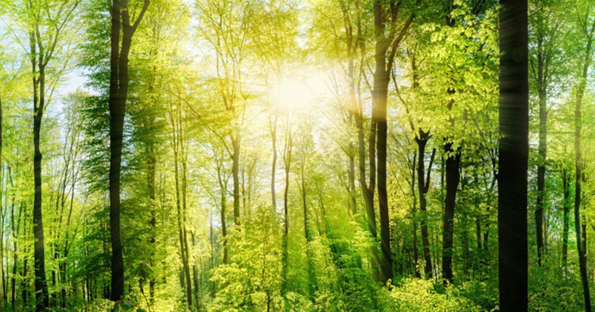 Complex Supply Chain Streamlined to Reduce Costs | Manufacturing | RRD